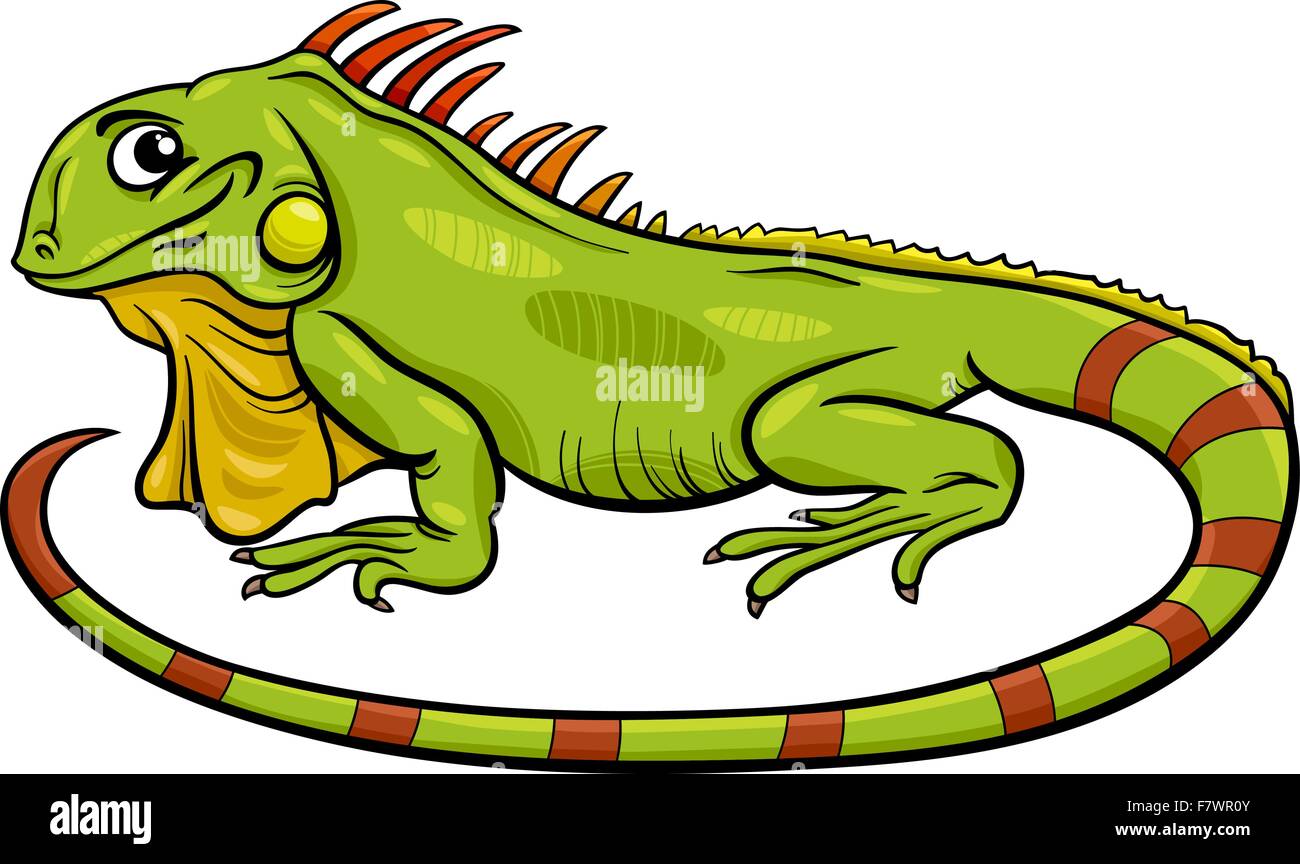 iguana animal cartoon illustration Stock Vector Image & Art - Alamy