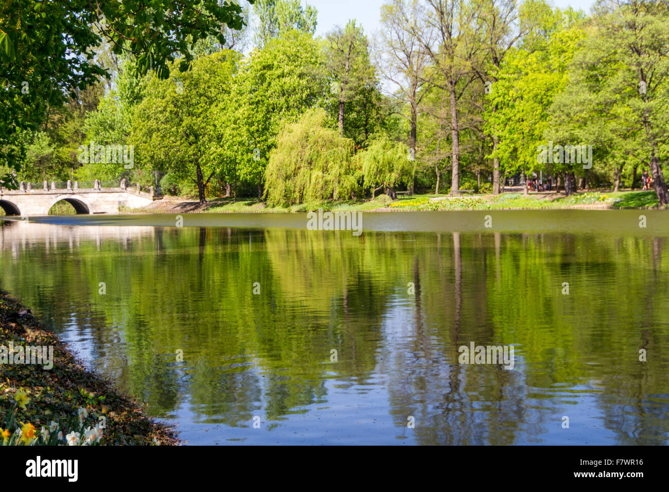 summer park, trees Stock Photo - Alamy