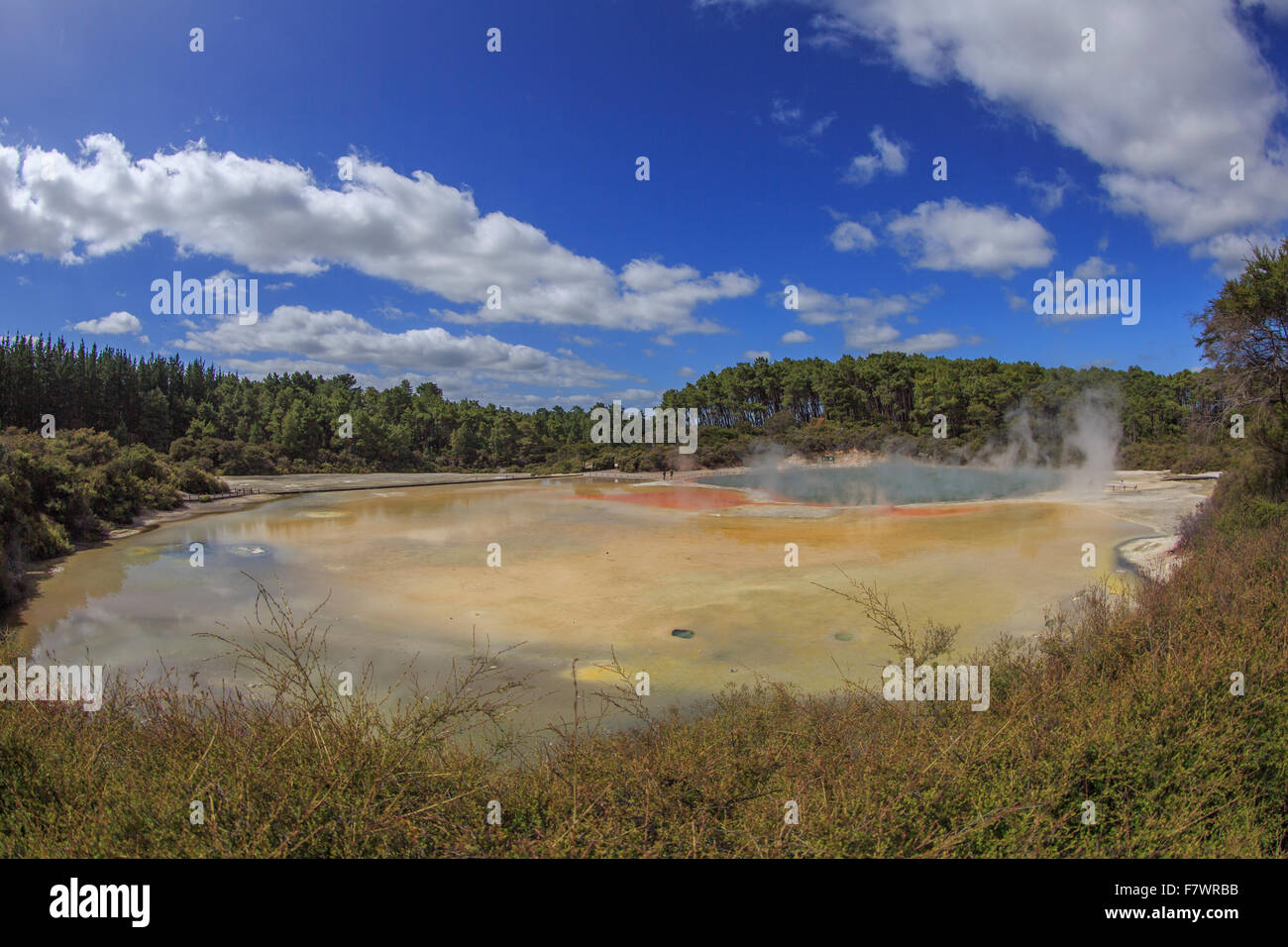Rotorua, New Zealand Stock Photo - Alamy