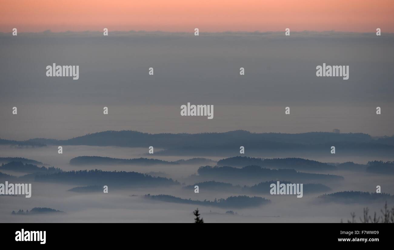 View of the forests in the Lake Constance region, Germany, shrouded in ...
