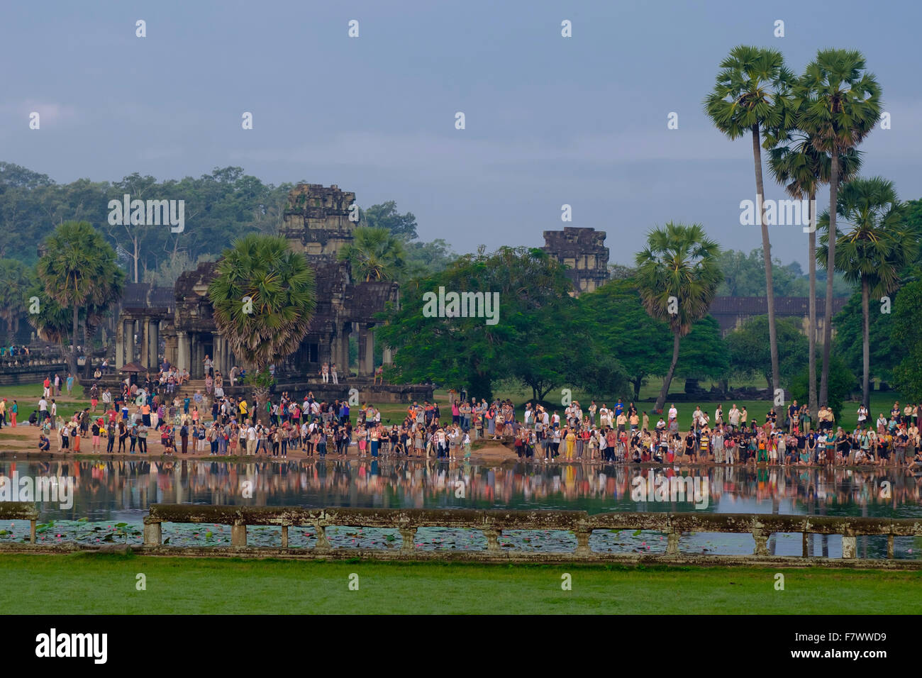 Crowd of tourists await the sunrise at Angkor Wat, Cambodia Stock Photo ...