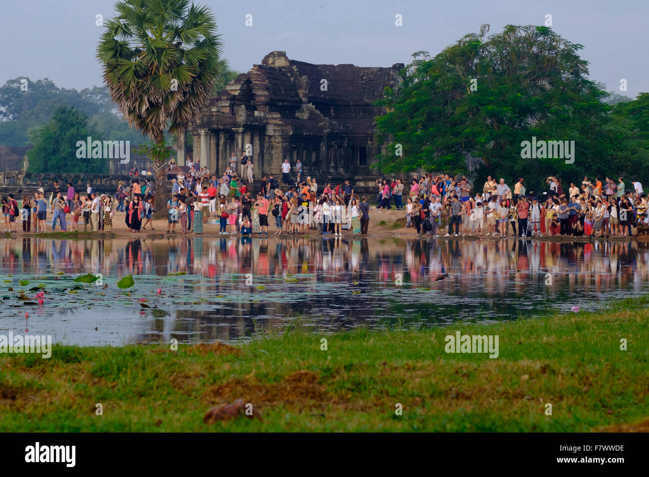 Crowd of tourists await the sunrise at Angkor Wat, Cambodia Stock Photo ...