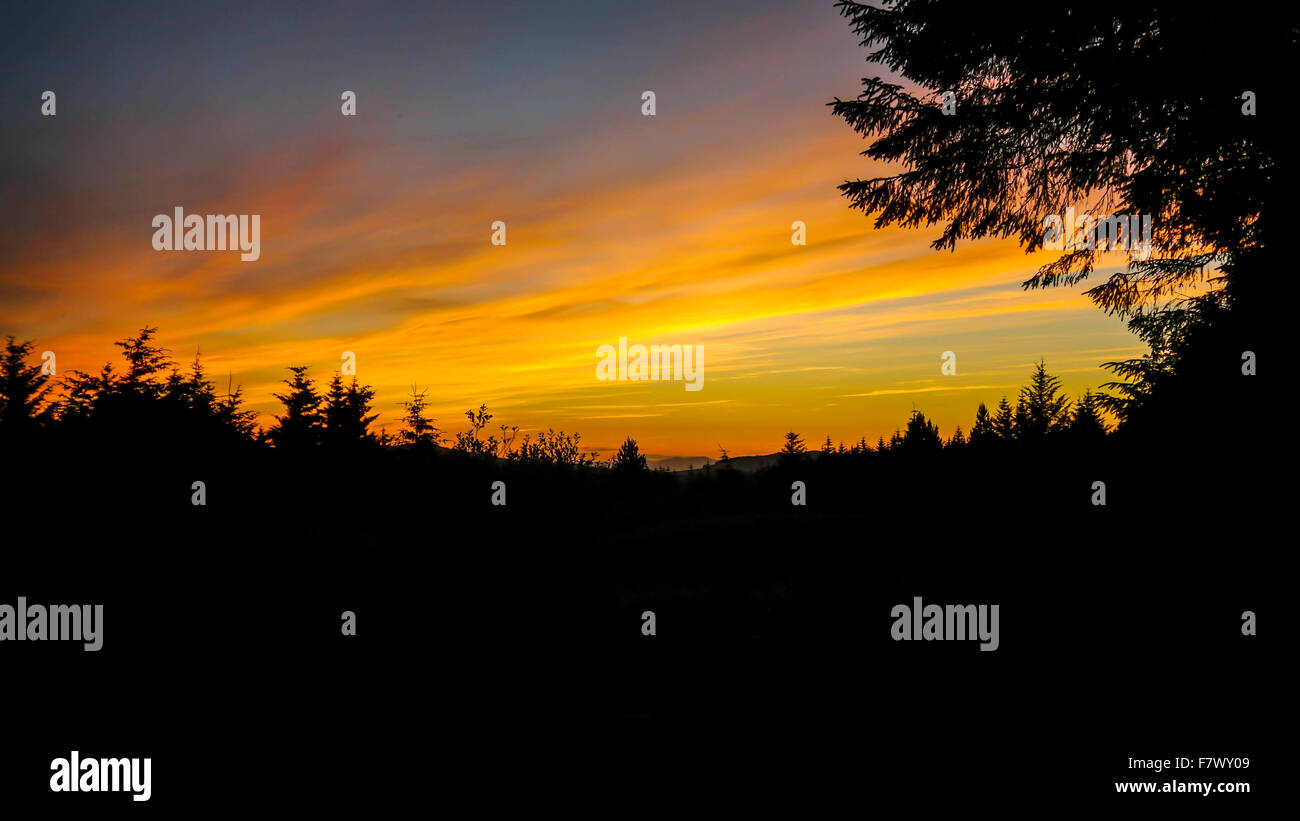 Stinchar bridge hi-res stock photography and images - Alamy