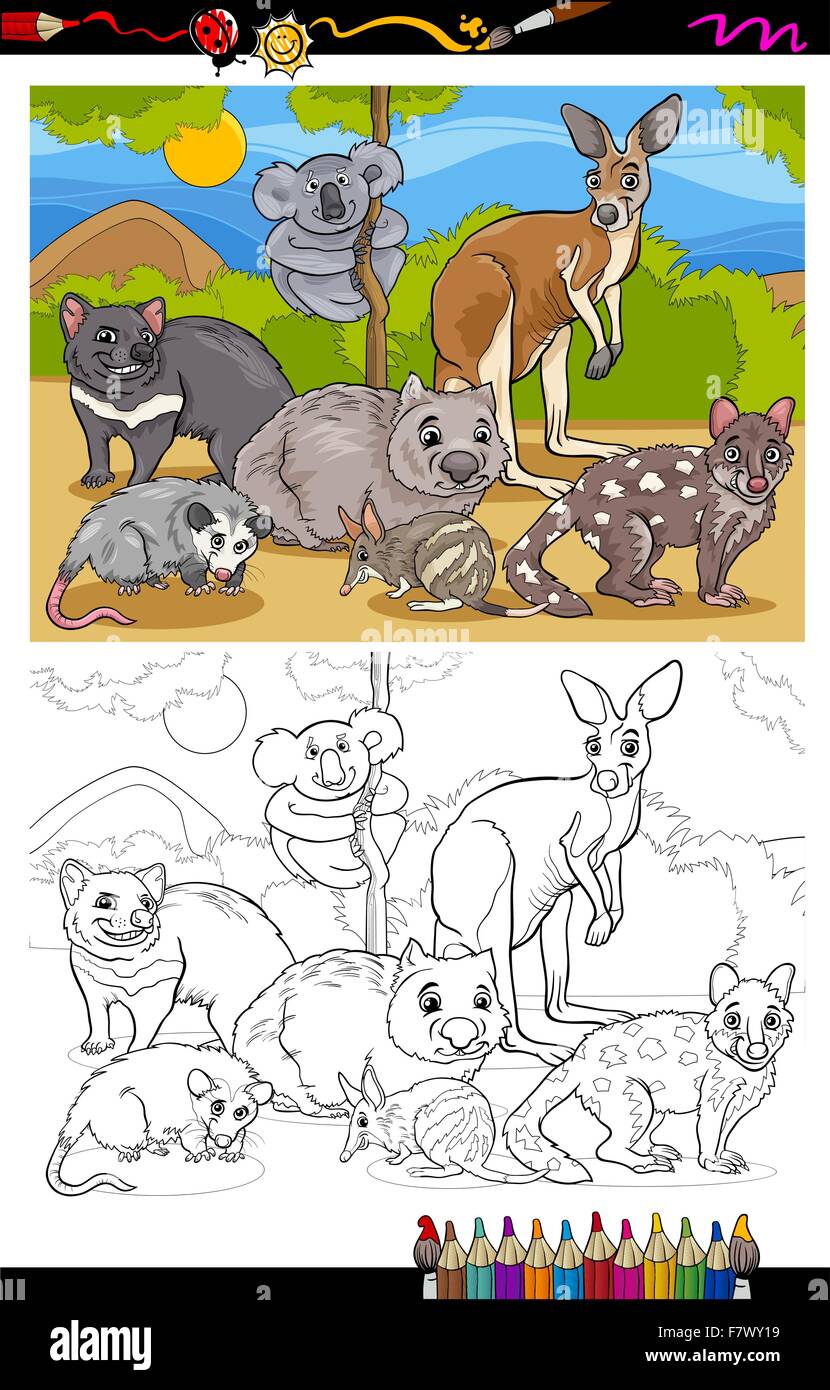 marsupials animals cartoon coloring book Stock Vector Image & Art - Alamy
