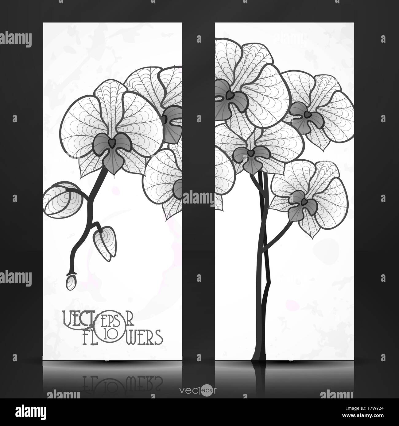 Hand Drawing Orchid Flower Stock Vector Image & Art - Alamy