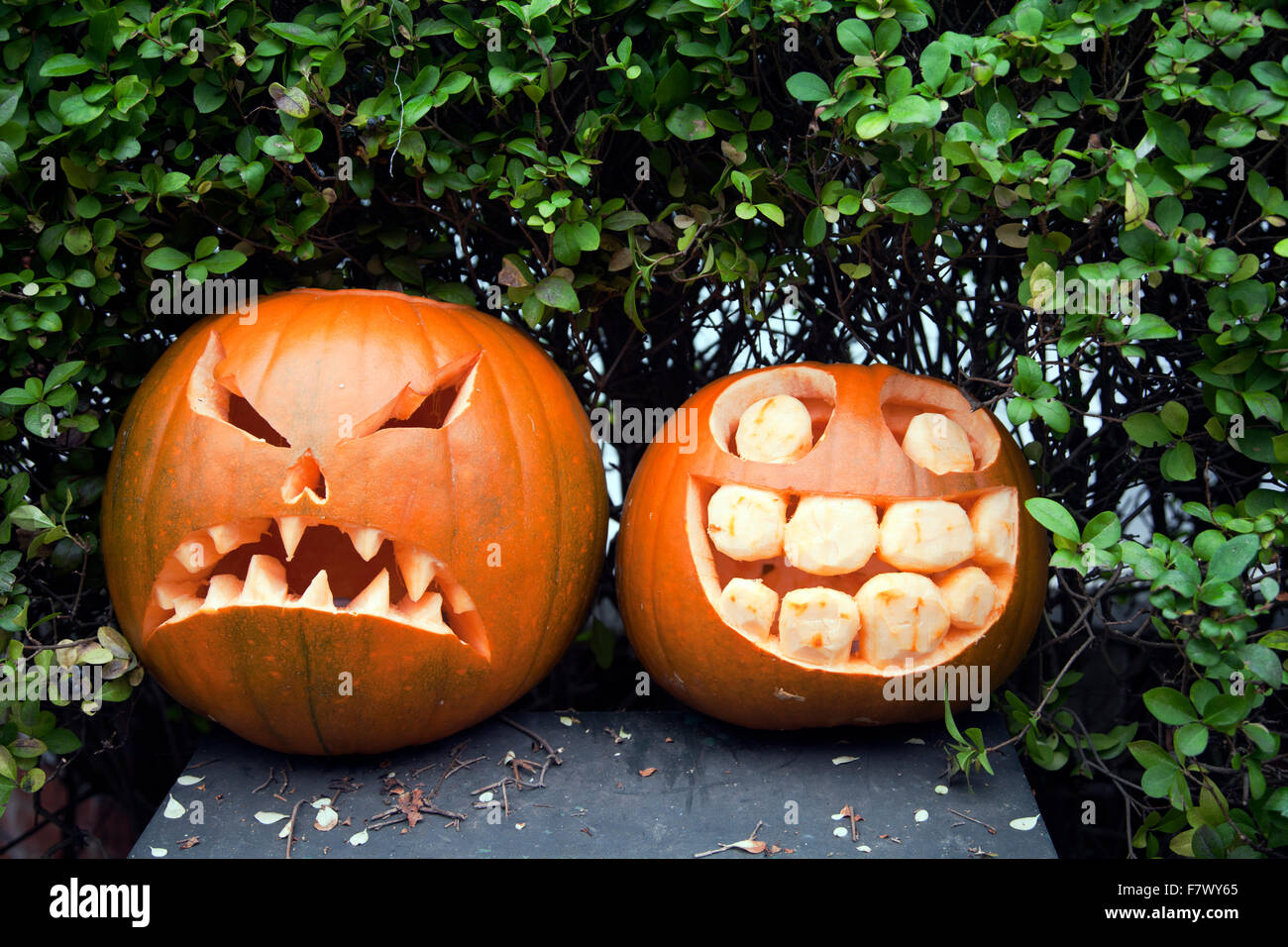 Carved pumpkins hi-res stock photography and images - Alamy