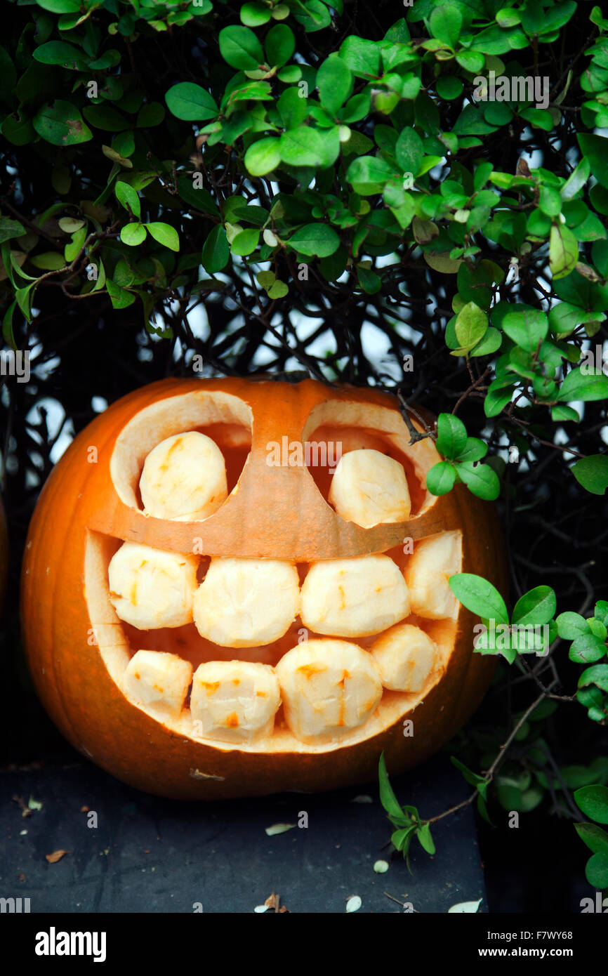 Happy grin hi-res stock photography and images - Alamy