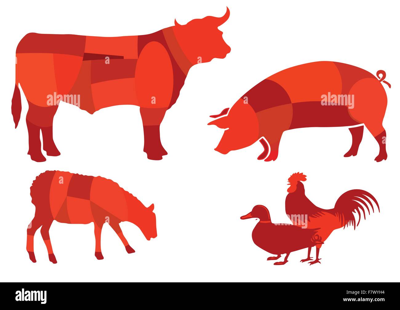 Beef cuts Stock Vector Images - Alamy