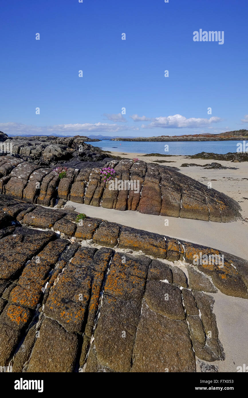 Coastal rocks Scotland Stock Photo - Alamy