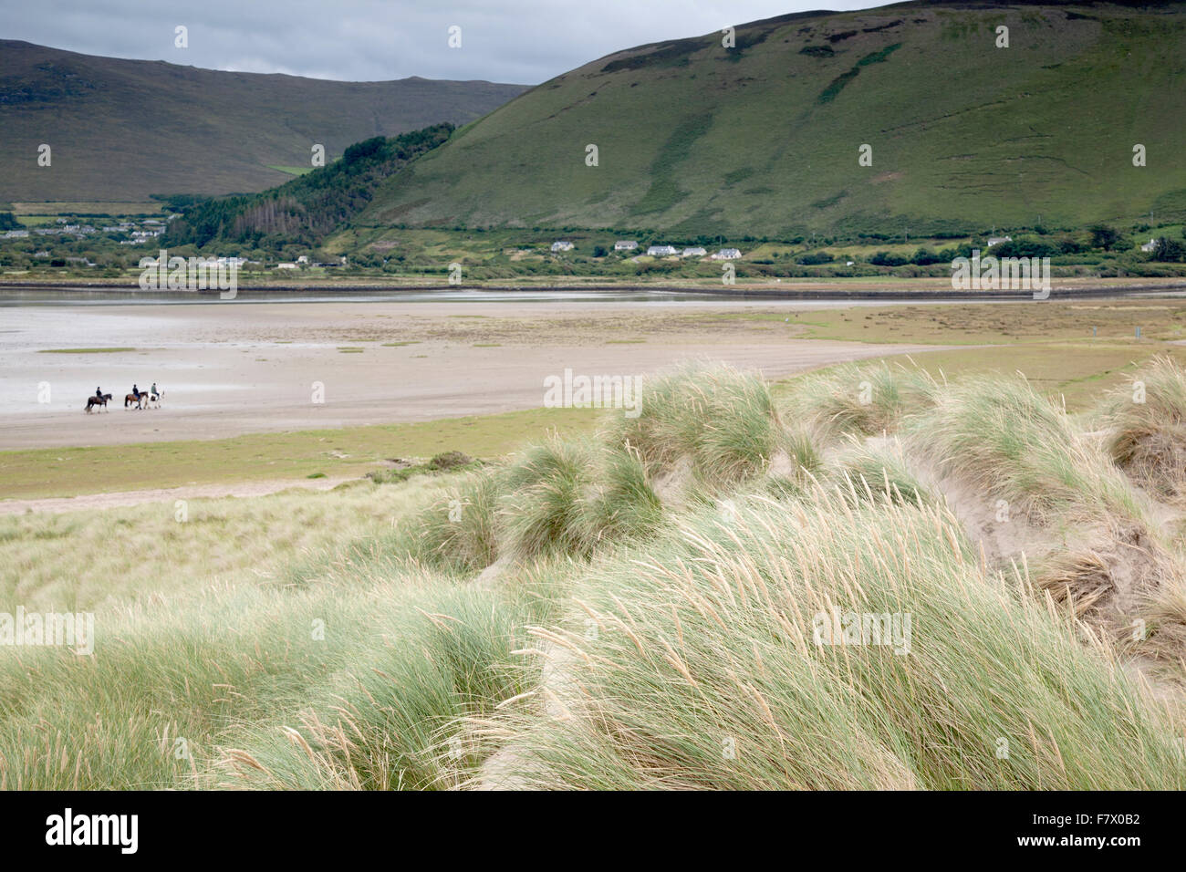 Rossbeigh Beach Horse Riding, County Kerry; Ireland Stock Photo - Alamy