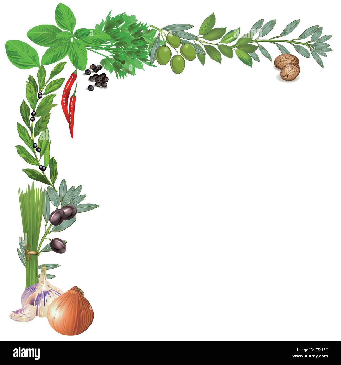 Fresh herbs rosemary thyme Stock Vector Images - Alamy