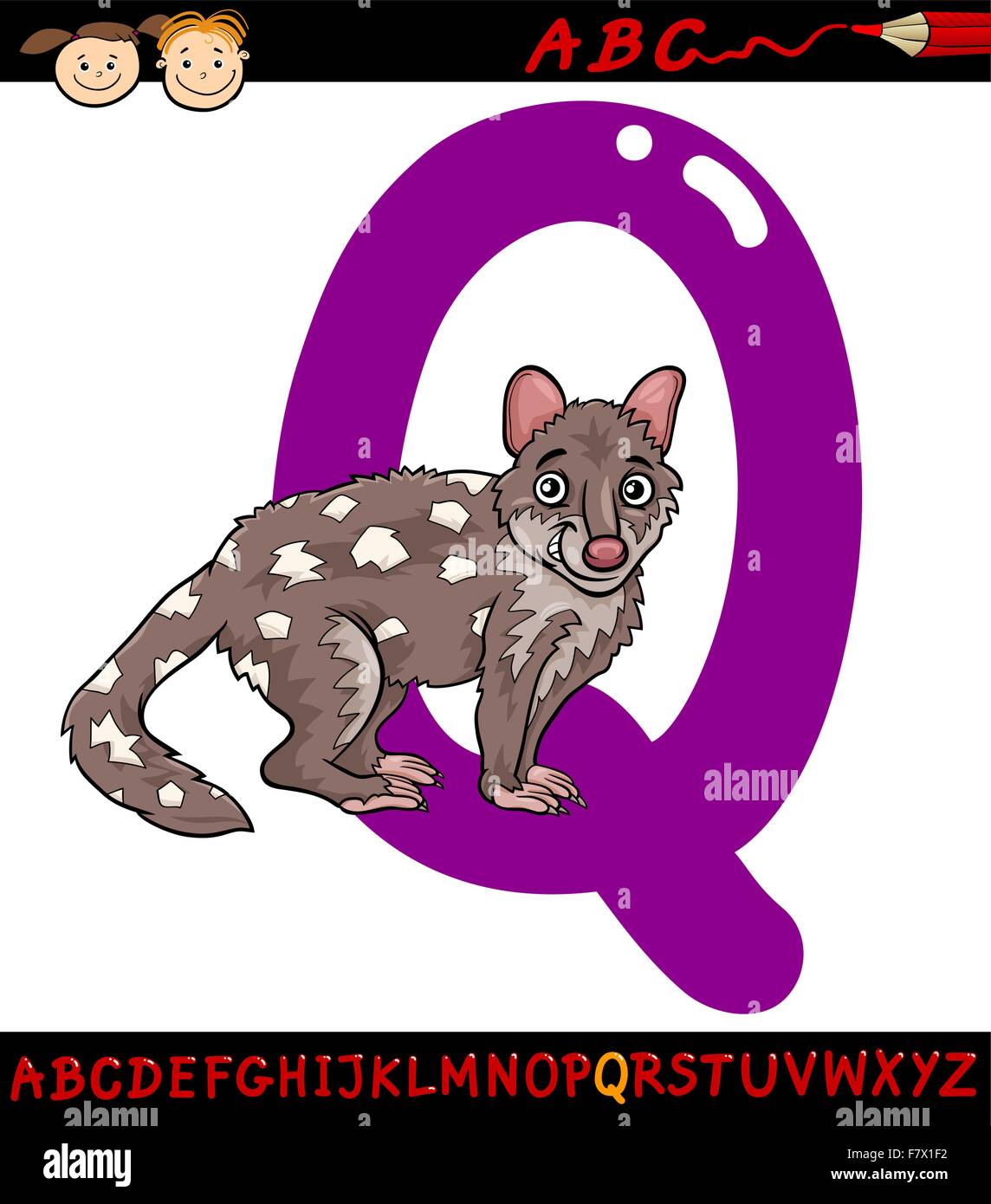 Quoll Stock Vector Images - Alamy