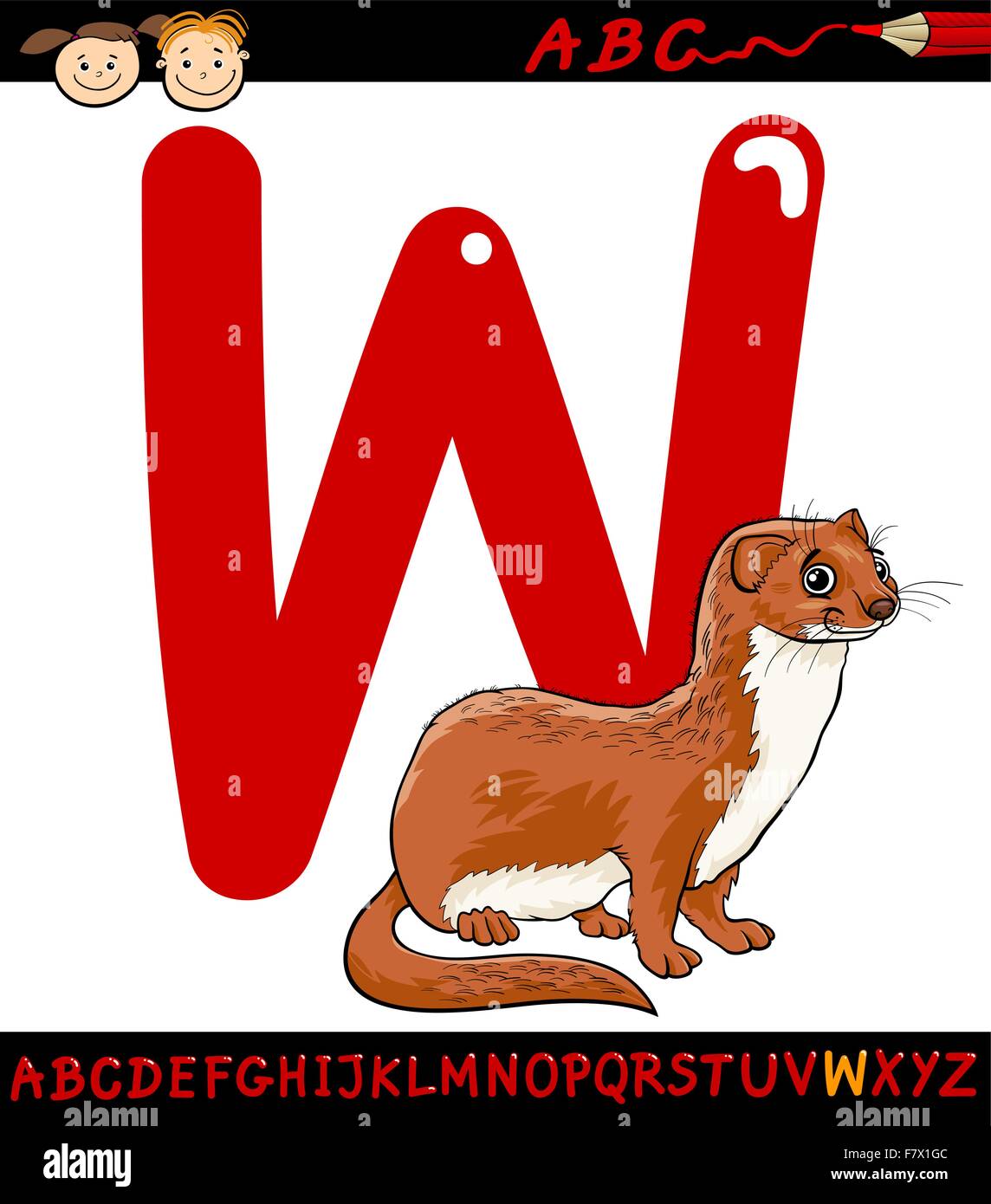 letter w for weasel cartoon illustration Stock Vector Image & Art - Alamy