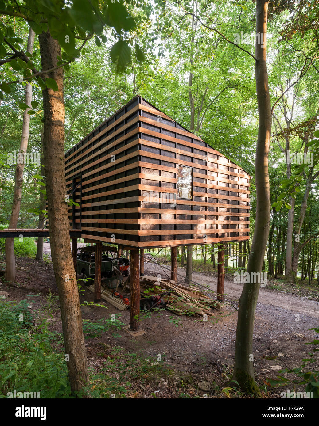 View of studio set within woodland and framed by surrounding trees ...