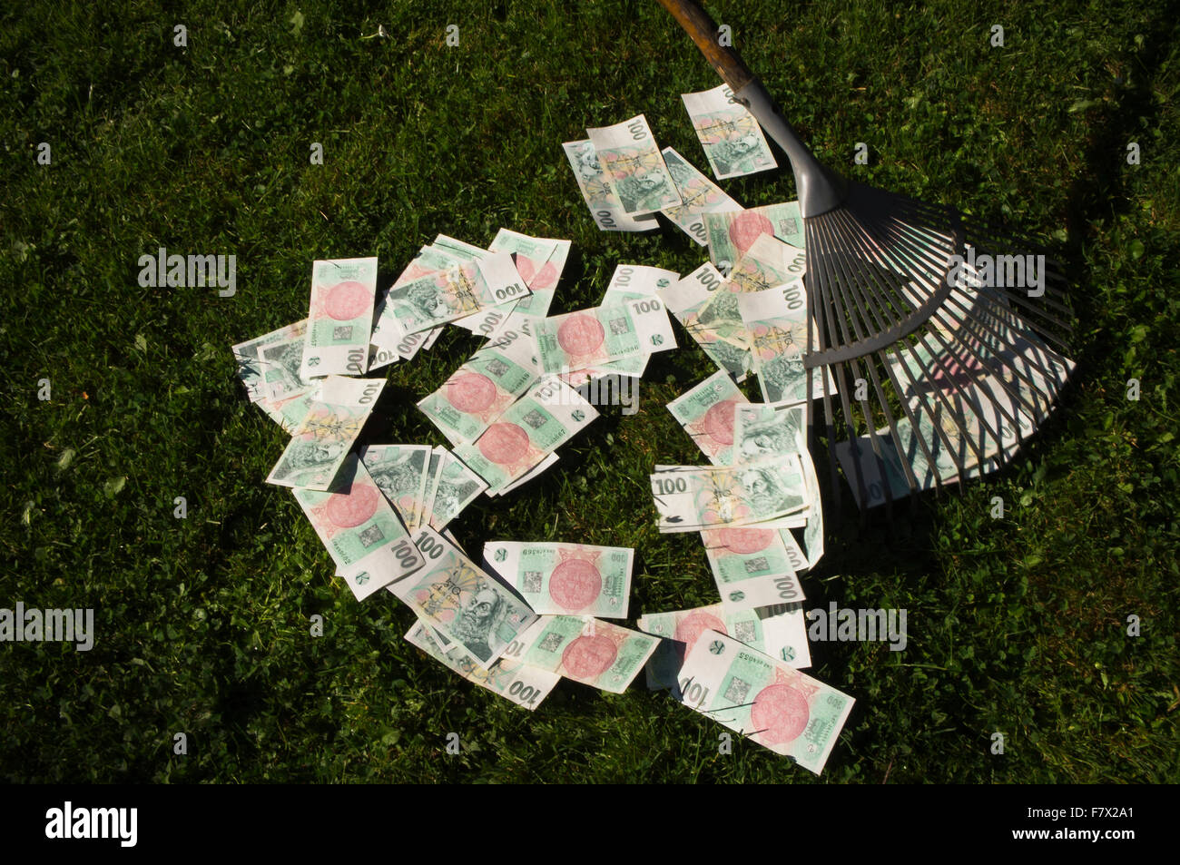 one hundred,100 Czech crowns, bank note, notes, money (CTK Photo/Libor ...