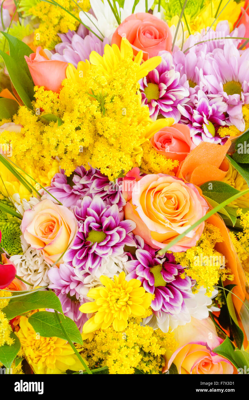 Close-up of flowers Stock Photo - Alamy
