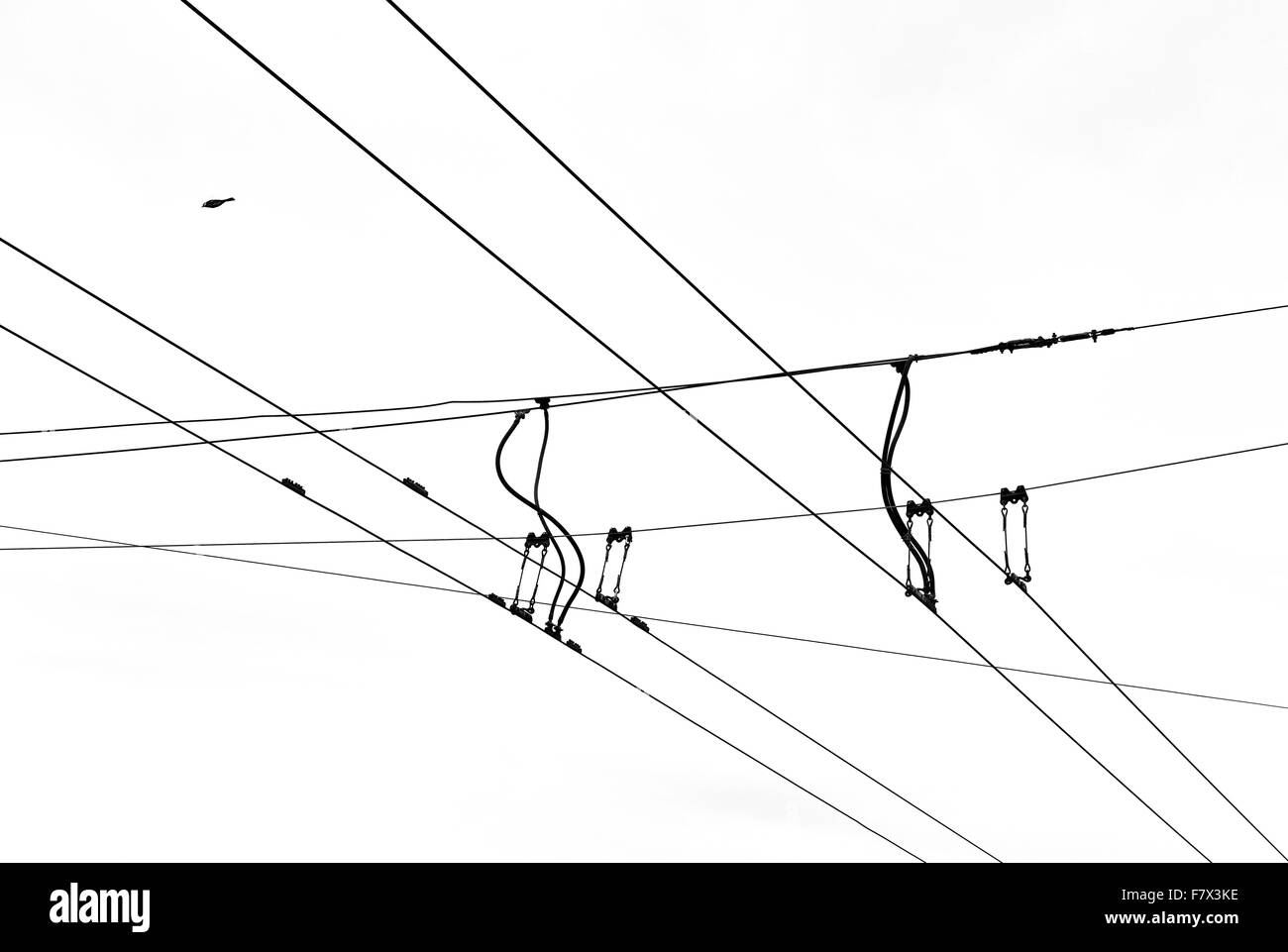 Low angle view of Electricity Cables Stock Photo - Alamy