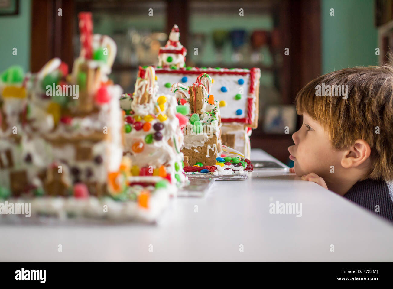 Side view of boy looking at gingerbread houses Stock Photo - Alamy