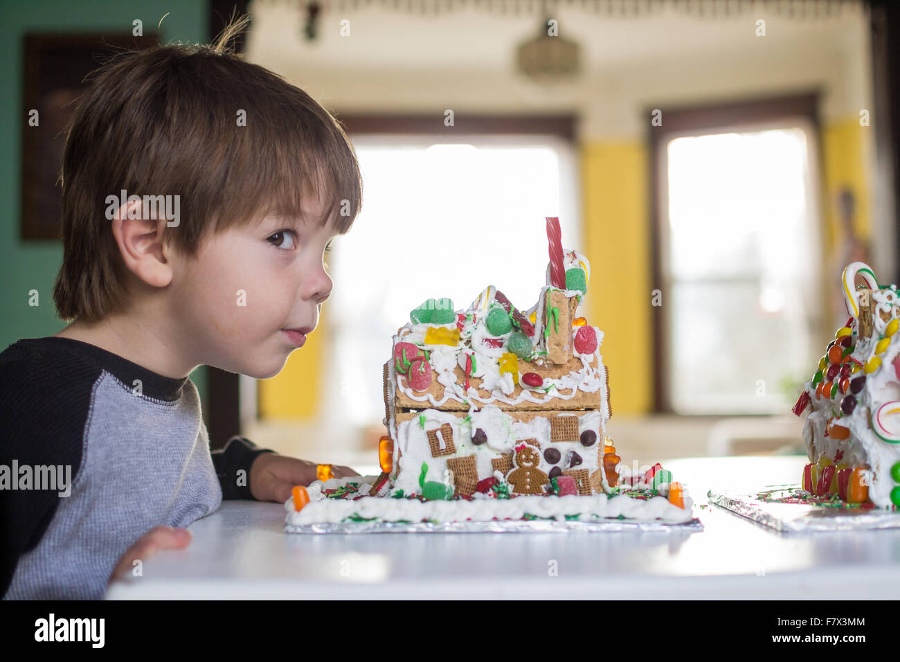 Side view of boy looking at gingerbread houses Stock Photo - Alamy