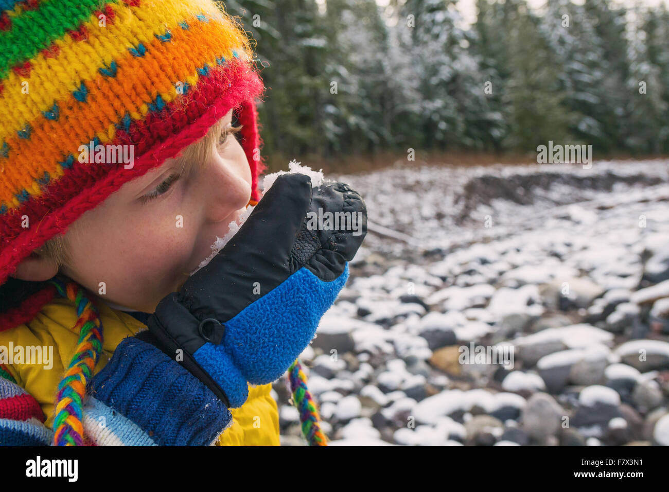Close-up portrait of a boy standing outdoors eating snow in winter, USA ...