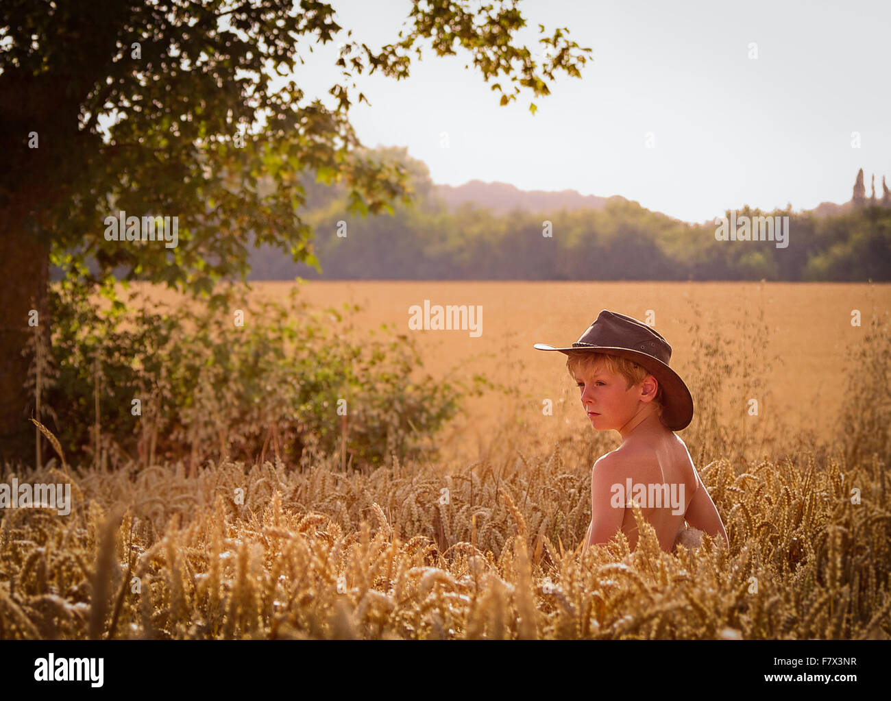 Boy wearing a hat standing in a corn field Stock Photo - Alamy