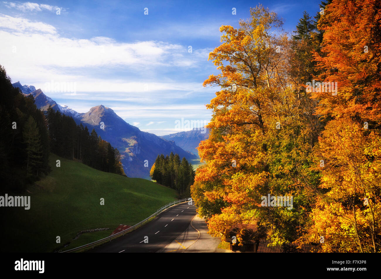 Autumn leaves, road and mountain landscape, Bern, Switzerland Stock ...
