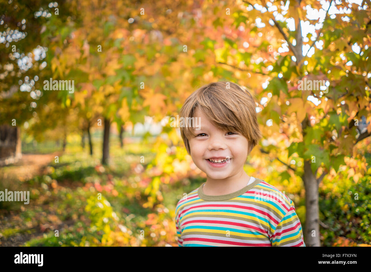 Portrait of a smiling boy in the countryside Stock Photo - Alamy