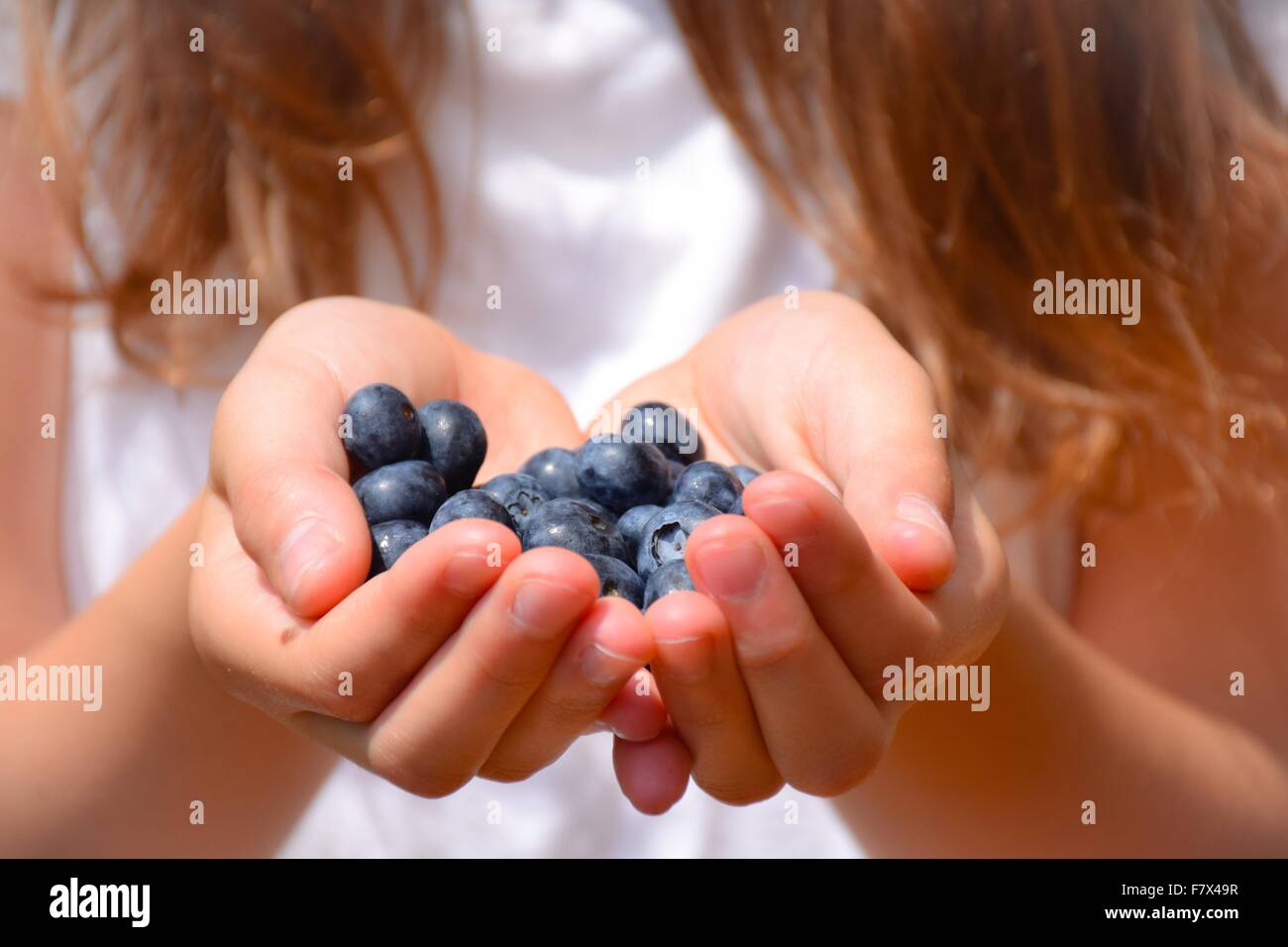 Close-up of girl's Hands holding blueberries Stock Photo - Alamy