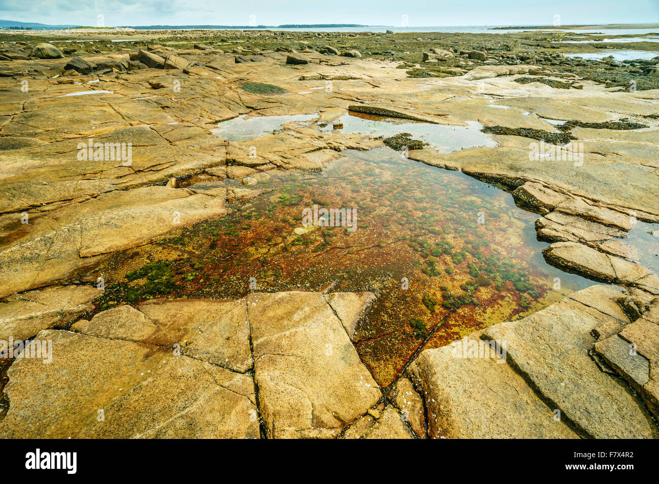 Tidal formation hi-res stock photography and images - Alamy