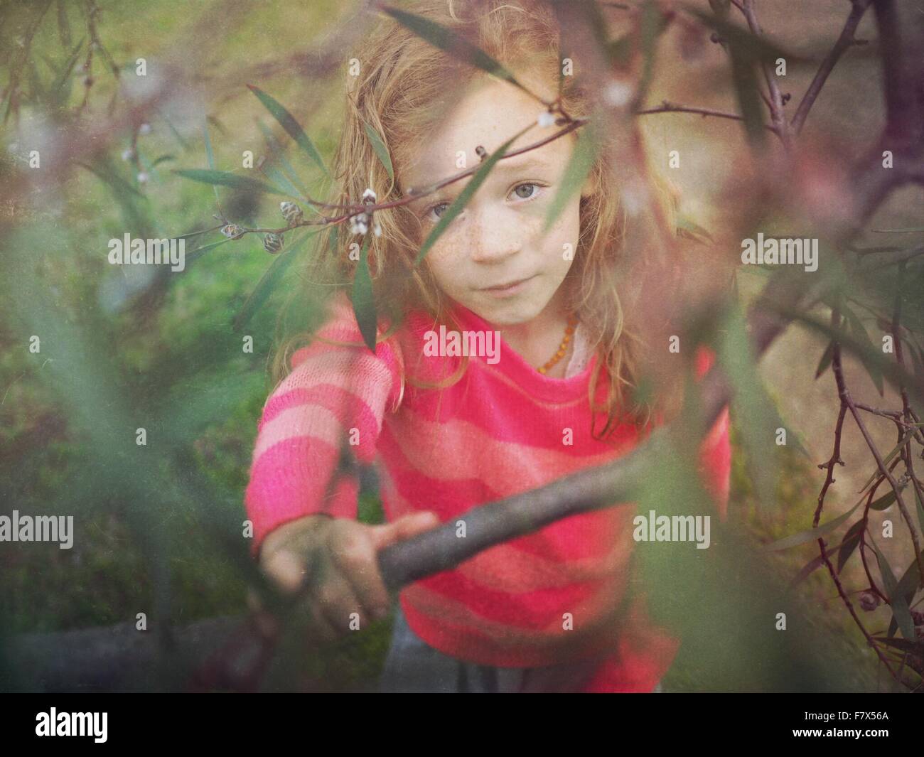 Looking up through tree hi-res stock photography and images - Alamy