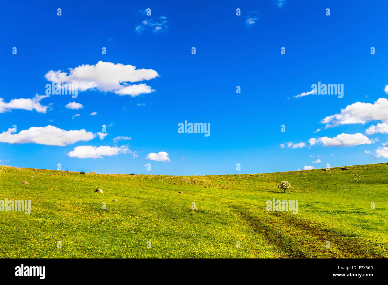 Rural landscape, Guildford, Victoria, Australia Stock Photo - Alamy