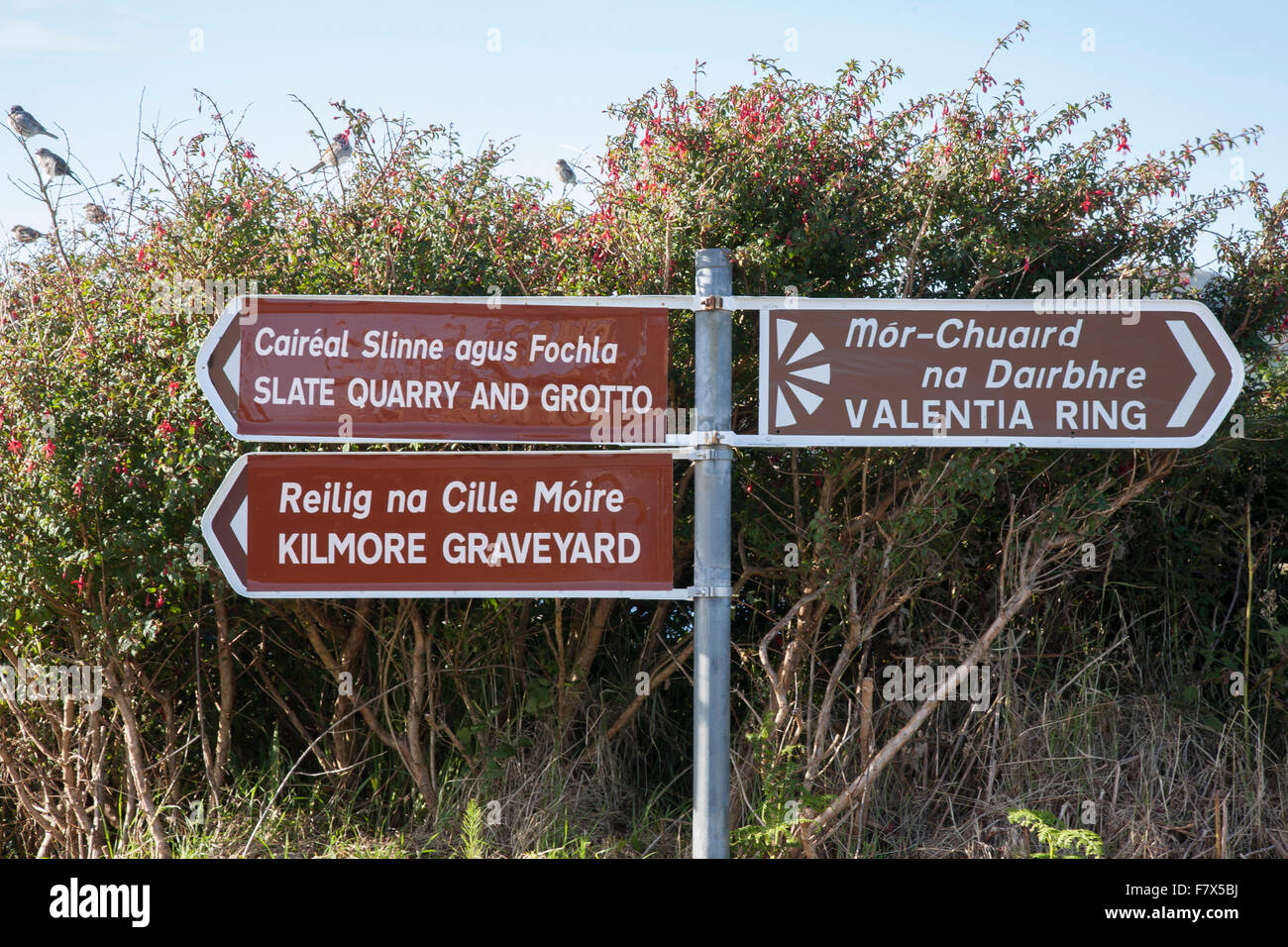 Ring road signpost hi-res stock photography and images - Alamy