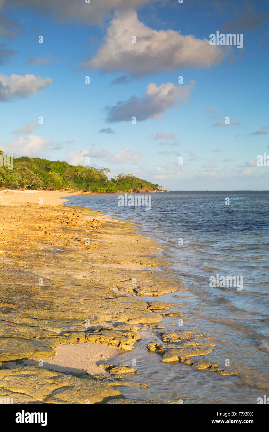 Cuvu Beach, Cuvu, Viti Levu, Fiji Stock Photo - Alamy