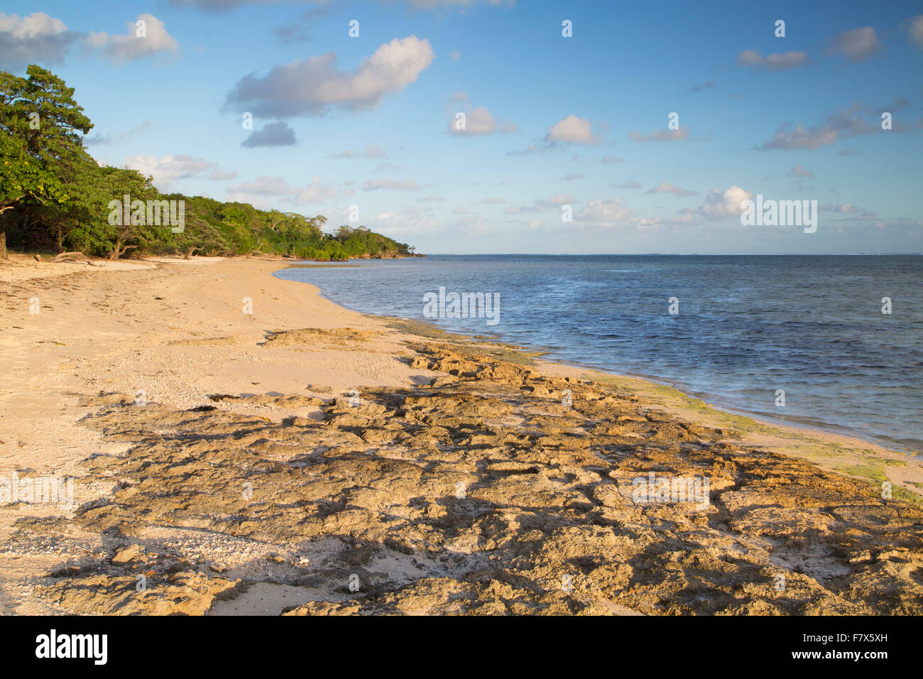 Cuvu Beach, Cuvu, Viti Levu, Fiji Stock Photo - Alamy