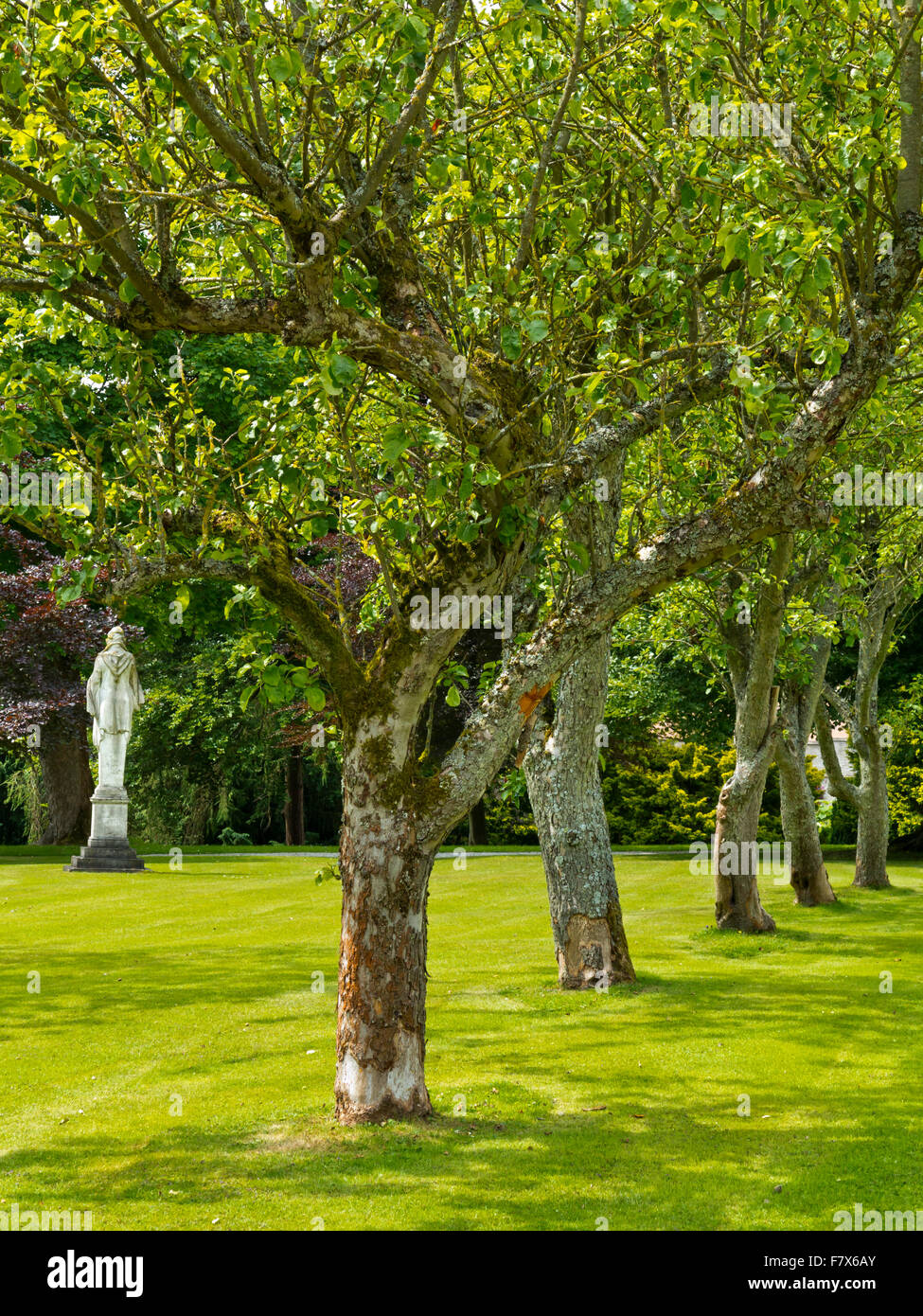 Orchard uk hi-res stock photography and images - Alamy