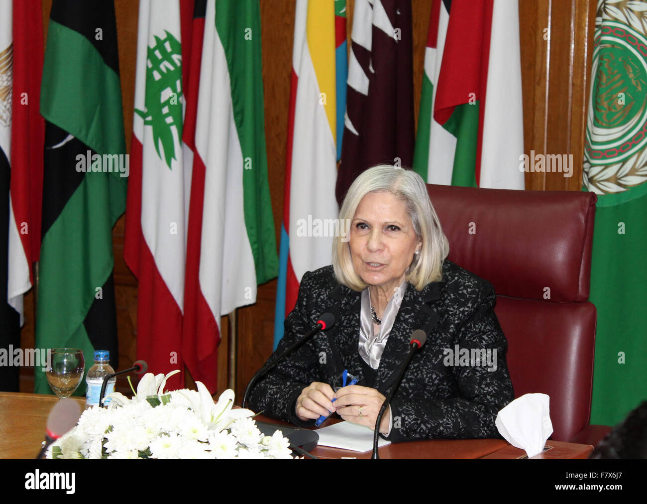 Cairo, Egypt. 3rd Dec, 2015. Haifa Abu Ghazaleh President of the Arab ...