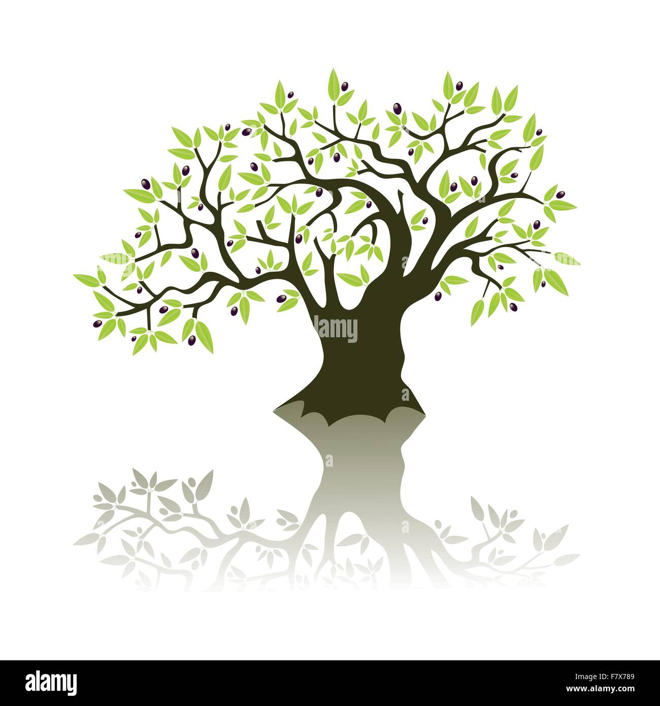 Italy eating olive oil Stock Vector Images - Alamy