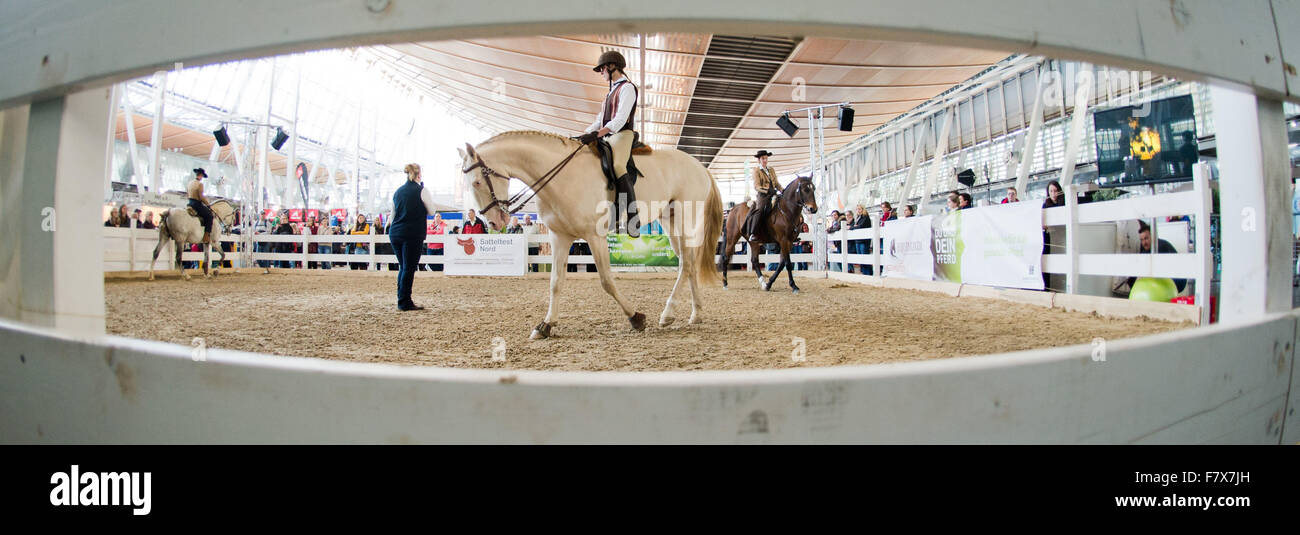 Hanover, Germany. 3rd Dec, 2015. A woman rides a horse at the 'Pferd ...