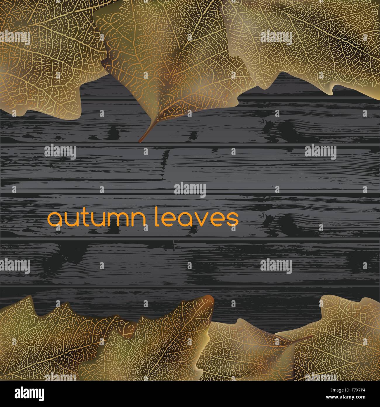 Pine wood tree leaves Stock Vector Images - Alamy