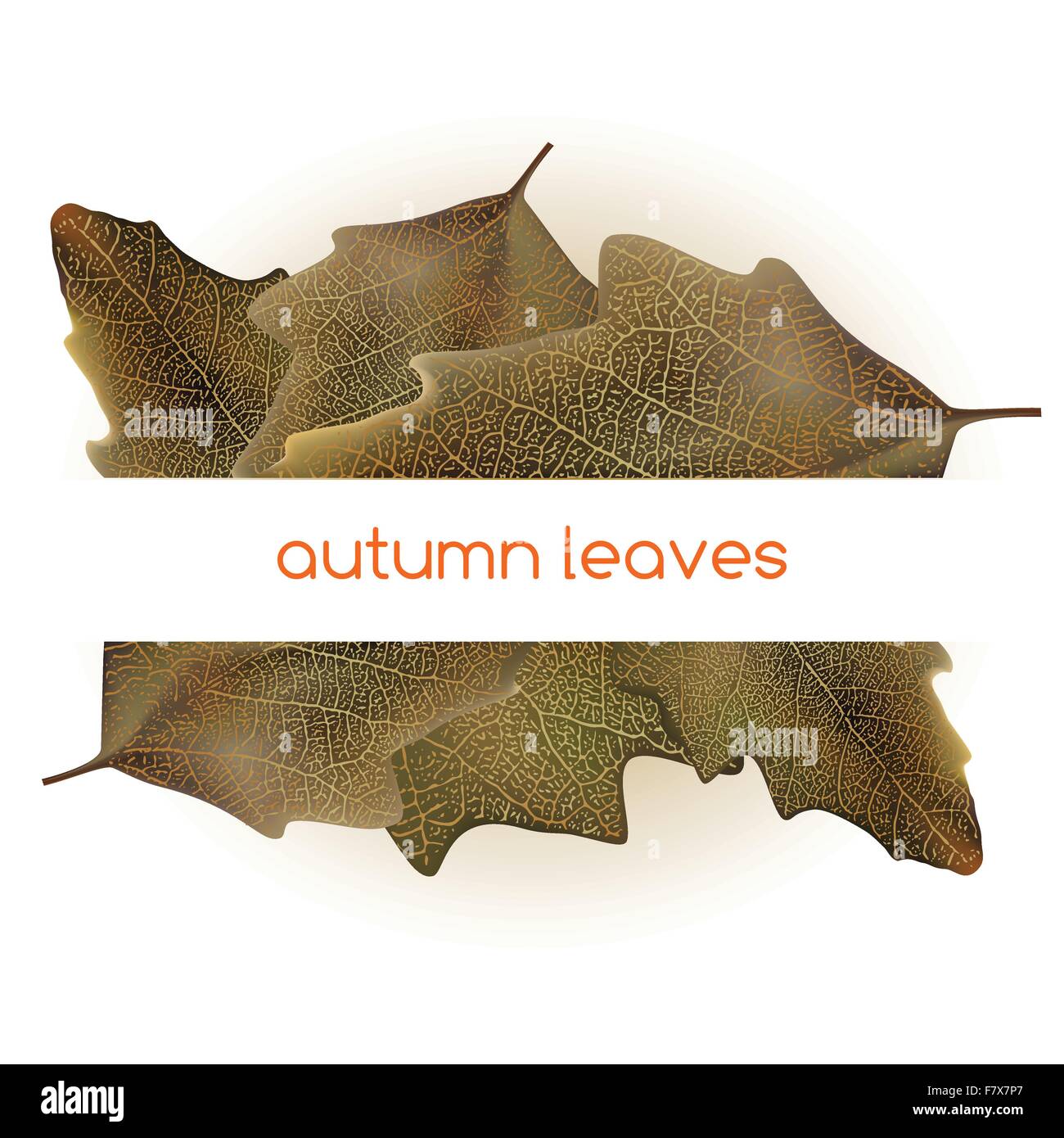 Brown leaves background Stock Vector Images - Alamy