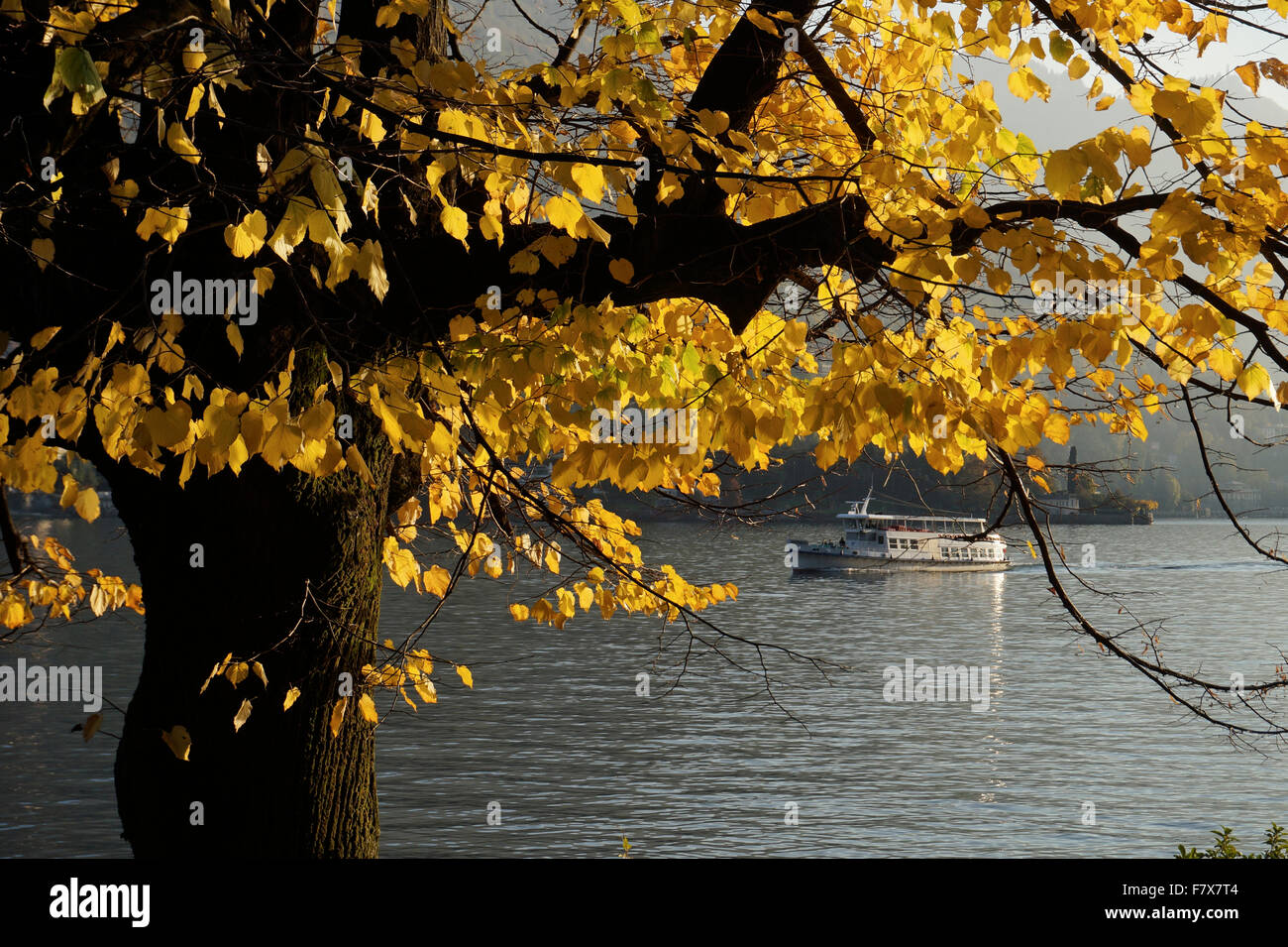 Autumn on Lake Como Stock Photo - Alamy