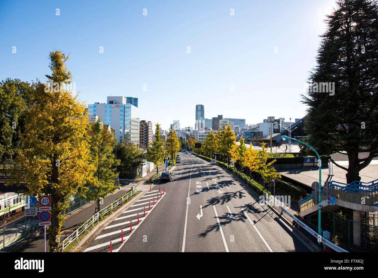 Autumn street scene,Shibuya,Tokyo,Japan Stock Photo - Alamy