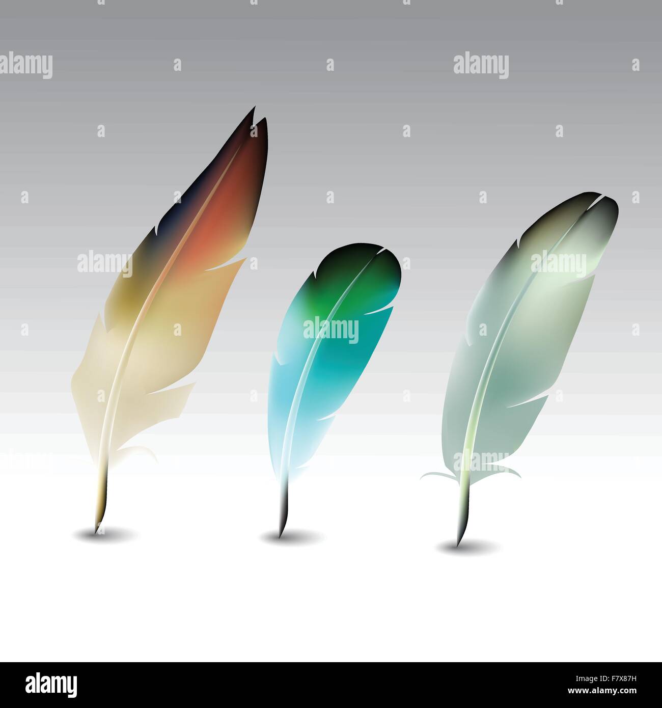 Feather colors Stock Vector Images - Alamy