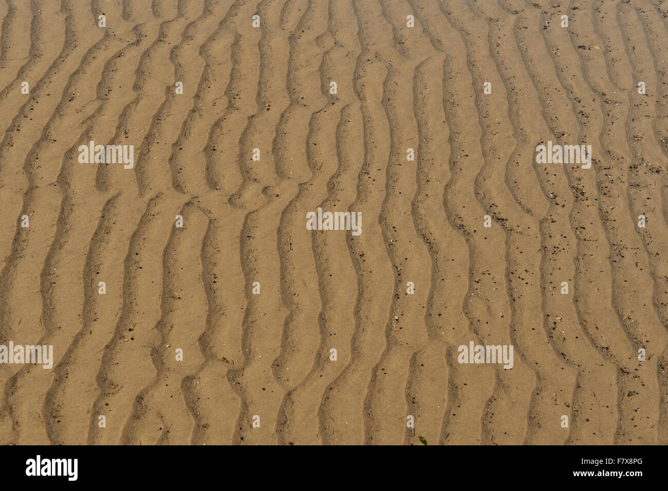 Ripples on a sandy beach Stock Photo - Alamy