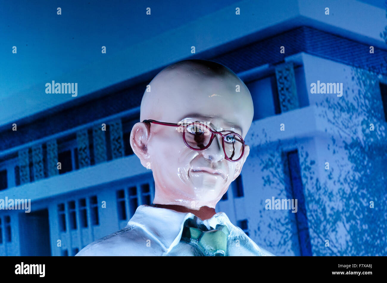 Hutchinson Gilford Progeria Syndrome Body