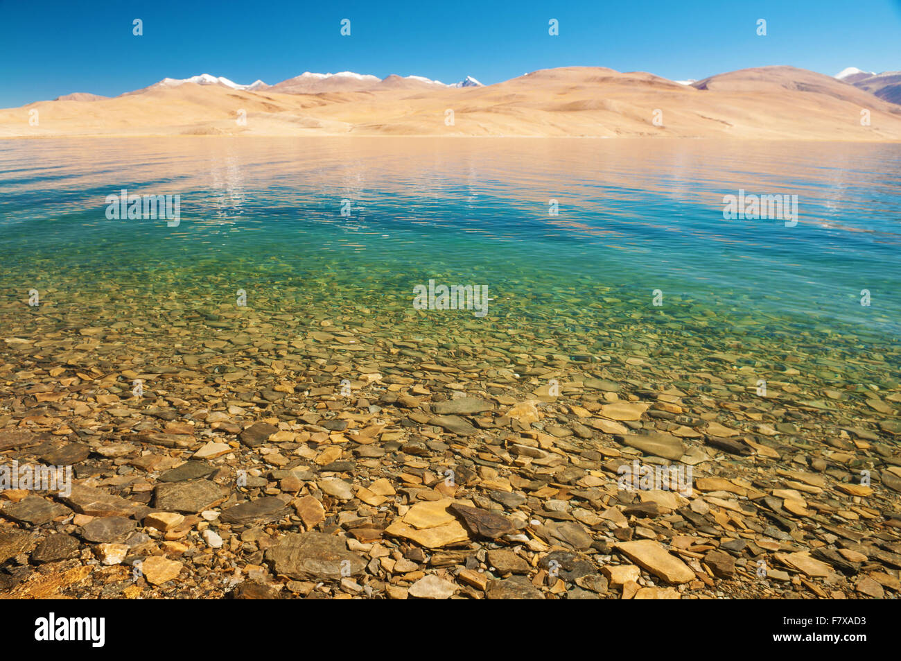 Himalayan mountain lake in Himalayas Tso Moriri, Tsomoriri Wetland ...
