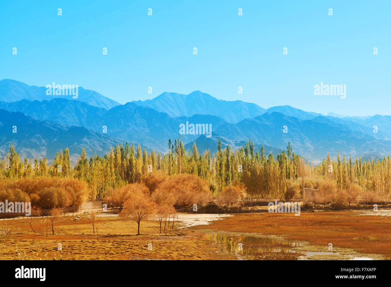 Holy fish hi-res stock photography and images - Alamy