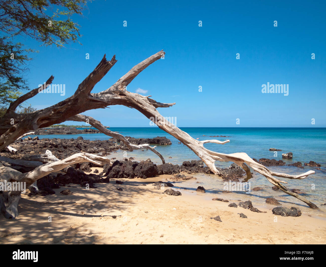 Hawaii waialea beach hi-res stock photography and images - Alamy