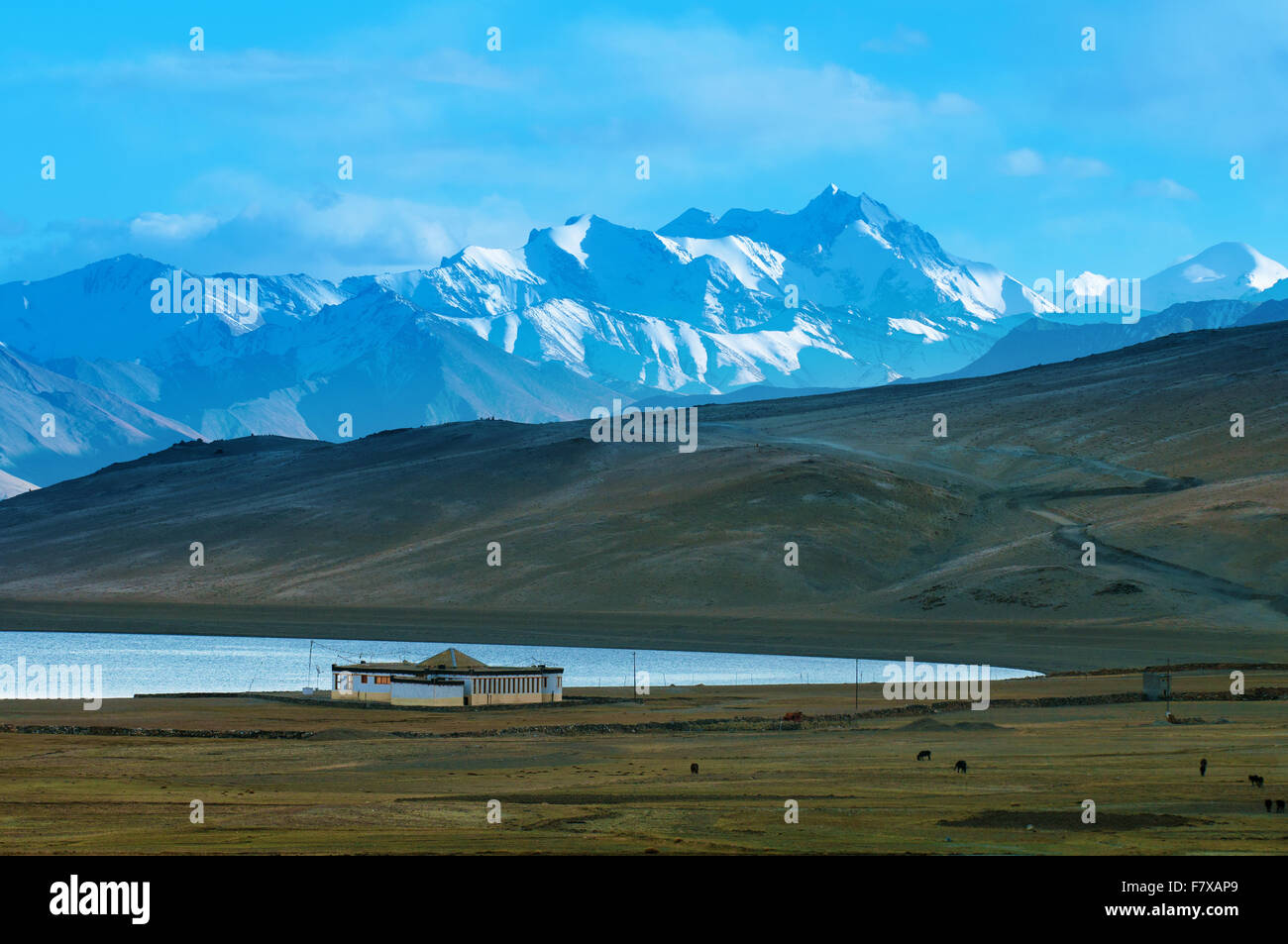Changthang plateau hi-res stock photography and images - Alamy