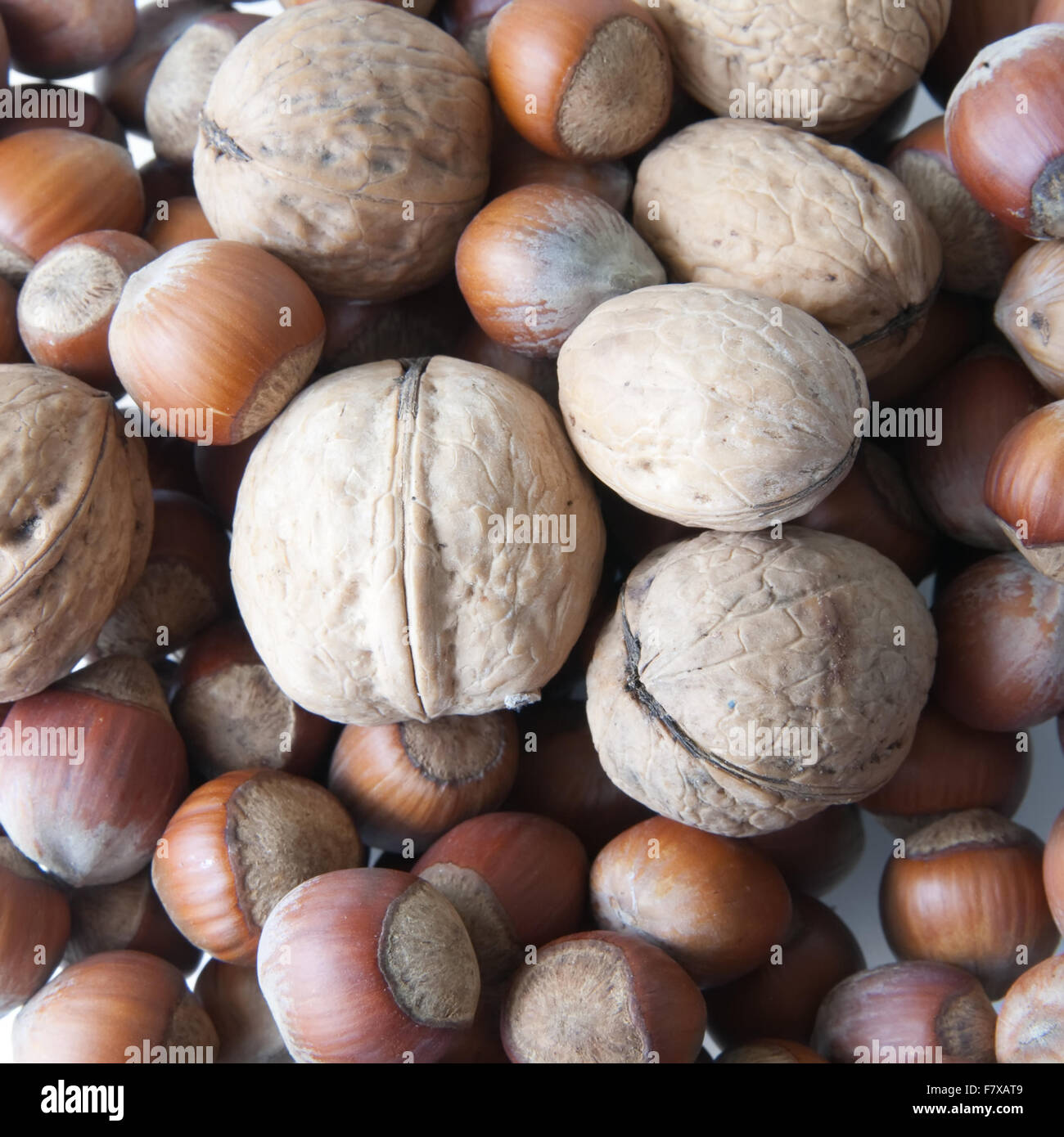 Close nit hi-res stock photography and images - Alamy